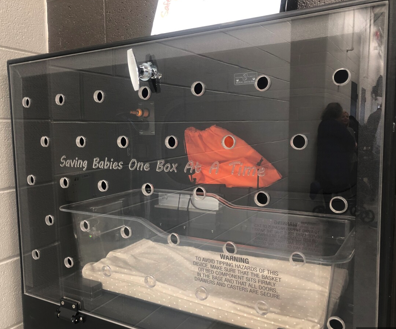 Florida Fire Station Installs First-Ever Baby Box: First Miracle Baby ...